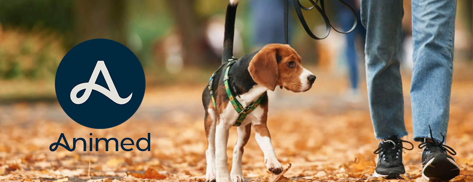 ANIMED Discount Codes - Up to 30% off | Updated Daily