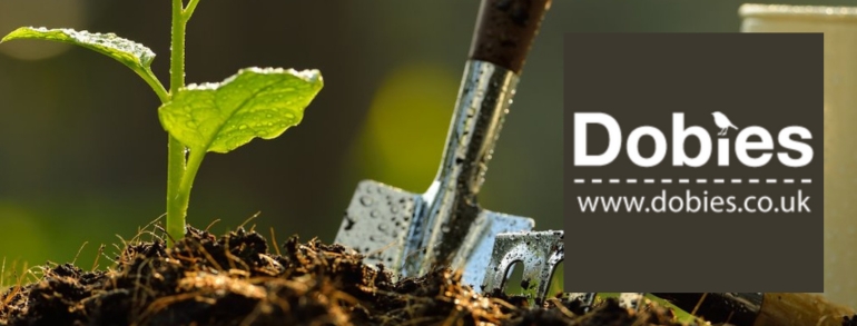 DOBIES Discount Codes 2025 - 16% Off | Verified Code